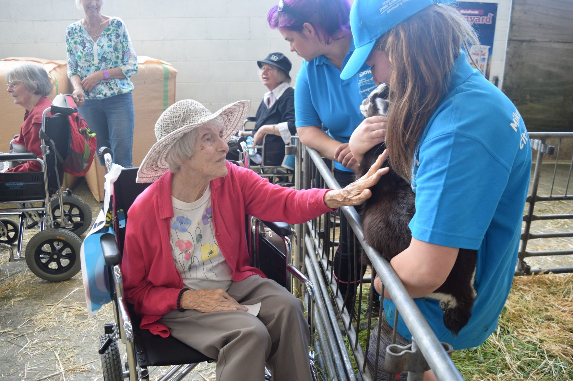 Archer Home Charitable Trust - Christchurch - Hospital - Eldernet