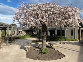 Eldernet Community - New Zealand directory, older people, retirement ...